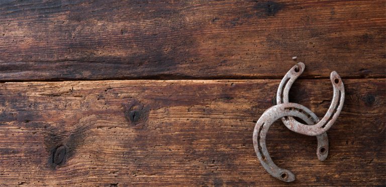 otr-background-1 - Open T.R.A.I.L. Ranch