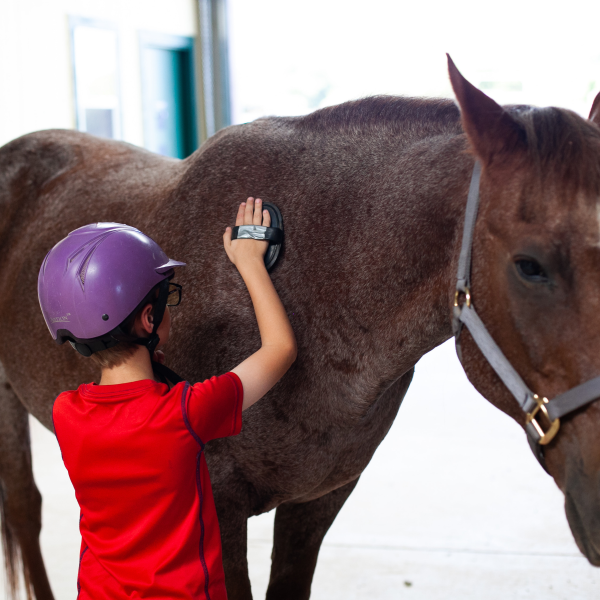 Open T.R.A.I.L. Ranch – Therapeutic Riding Actively Improving Lives